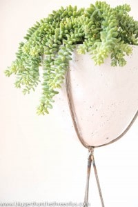 Bullet Planter DIY Tutorial