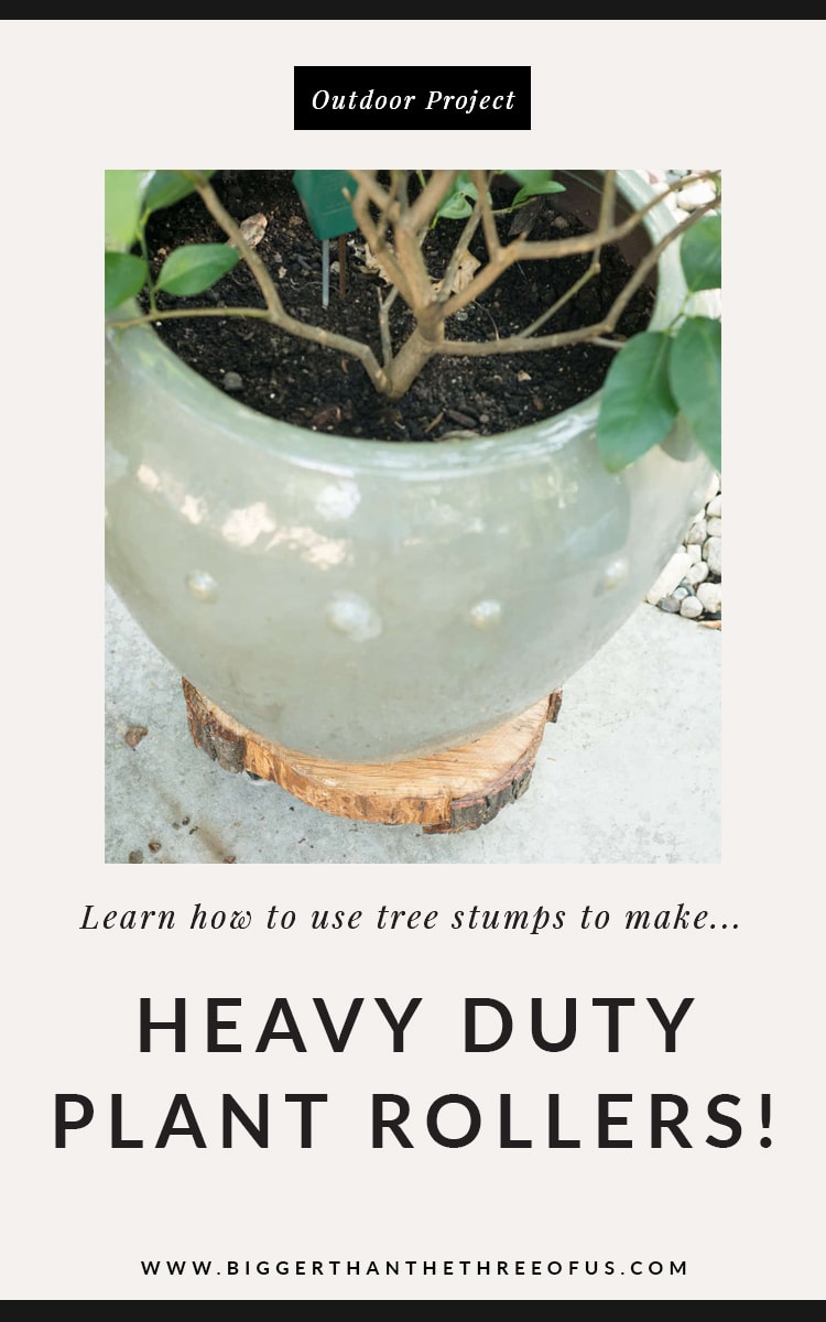 Make This DIY Wood Rolling Plant Stand in just a few minutes!