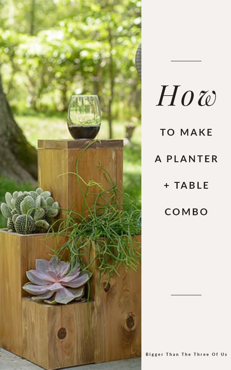 DIY Table Planter - Bigger Than the Three of Us