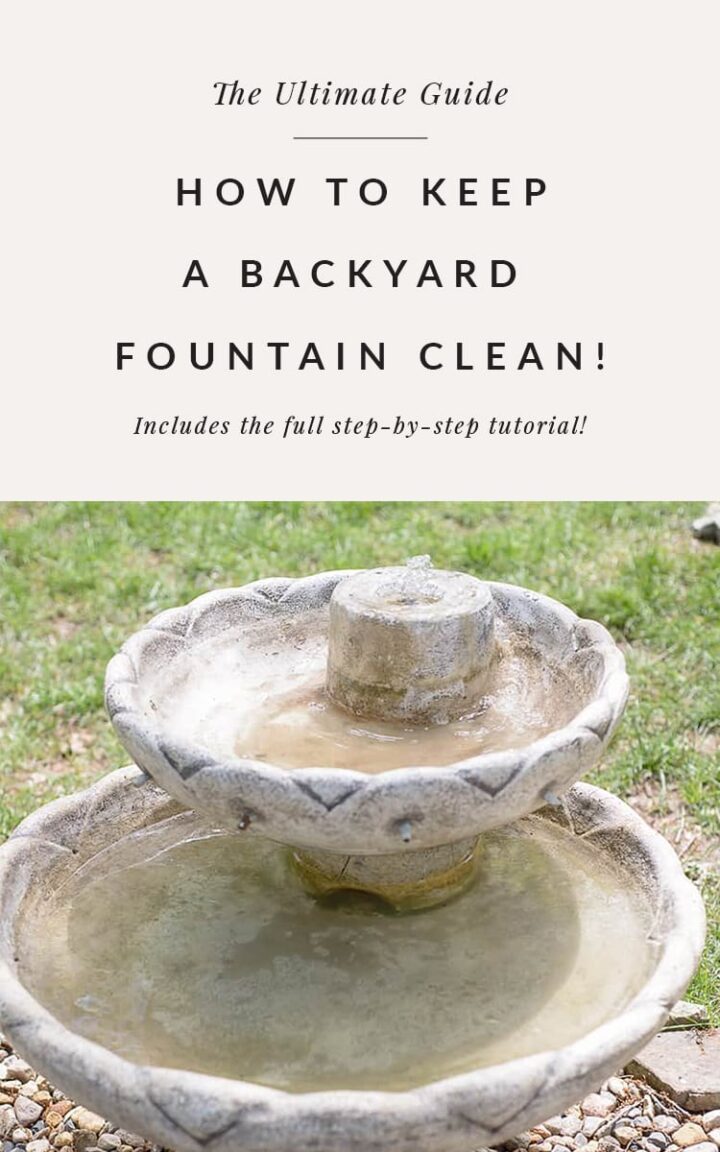 How to Keep Water Fountain Water Clean - Bigger Than the Three of Us