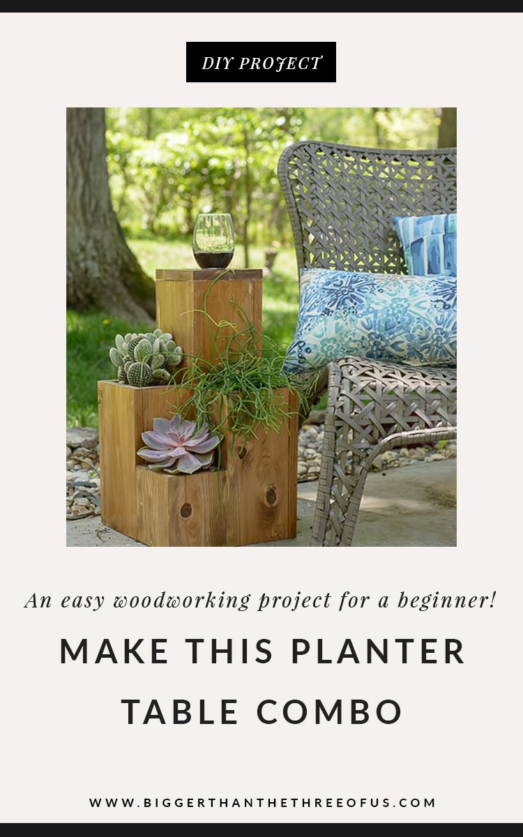 DIY Table Planter - Bigger Than the Three of Us