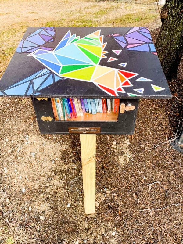Adding a Little Free Library (Neighborhood Library Box)
