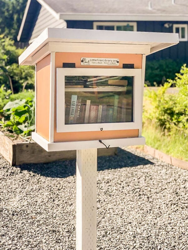 Adding a Little Free Library (Neighborhood Library Box)